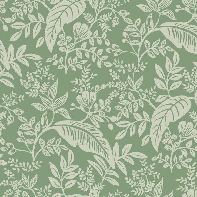 Canopy Wallpaper- Sage - York Wallcoverings – The WorkRoom