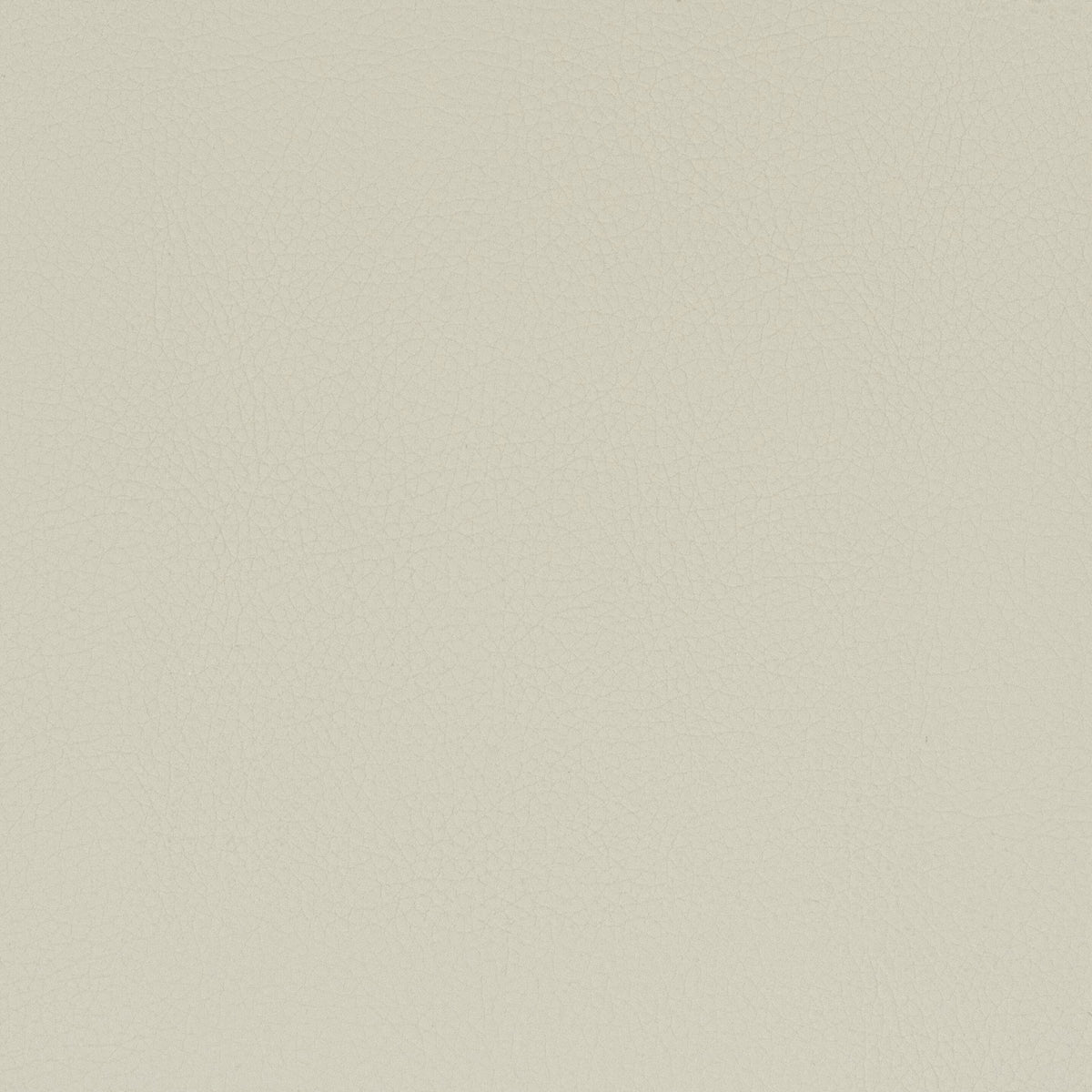 Classic 5 Camel - Stout Textiles Fabric by Stout — Design-Driven ...