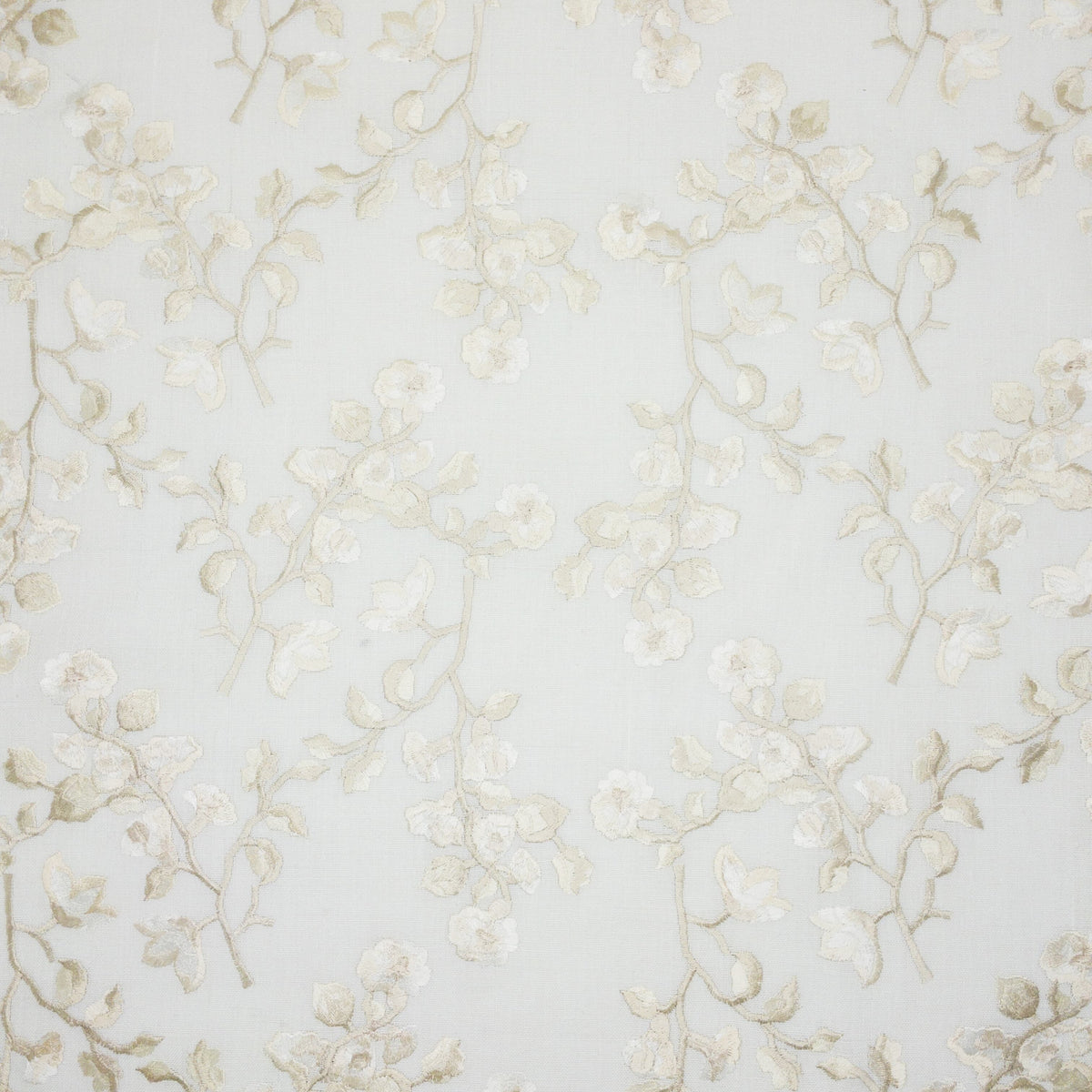 Tedric 2 Champagne - Stout Textiles Fabric – The WorkRoom