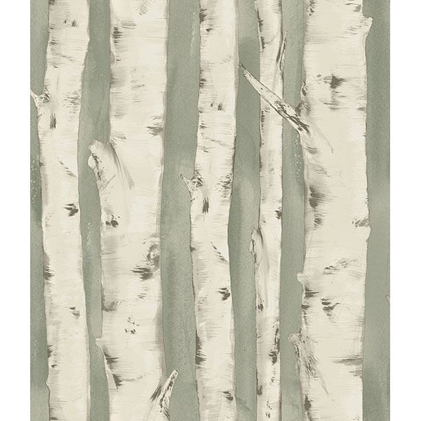 Pioneer Sage Birch Tree Wallpaper - York Wallcovering 3118-12603 – The ...